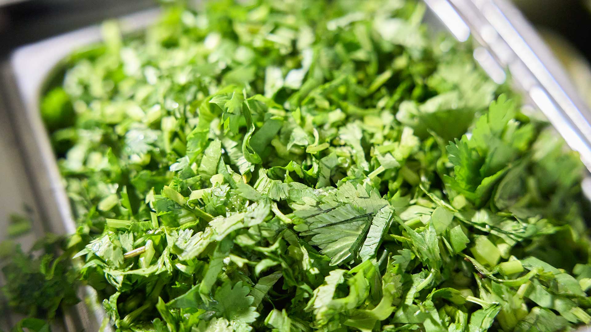 Gallery - CILANTRO'S MEXICAN TAKE-OUT